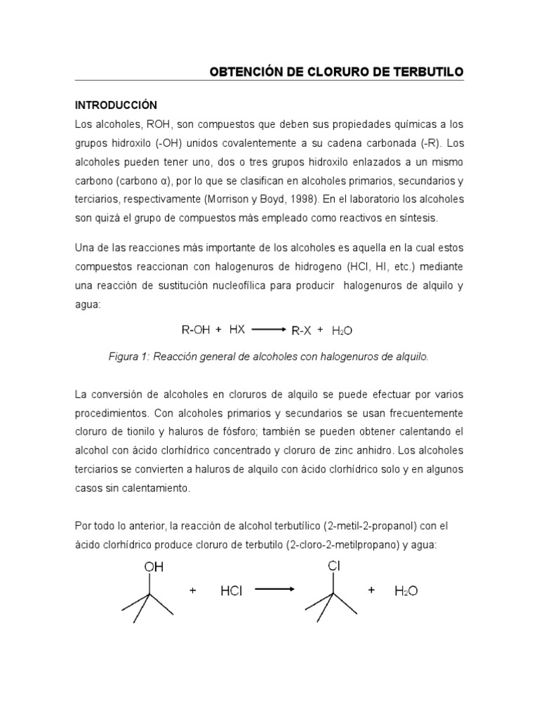 Obtención de Terbutilo | PDF | Alcohol | Ácido clorhídrico