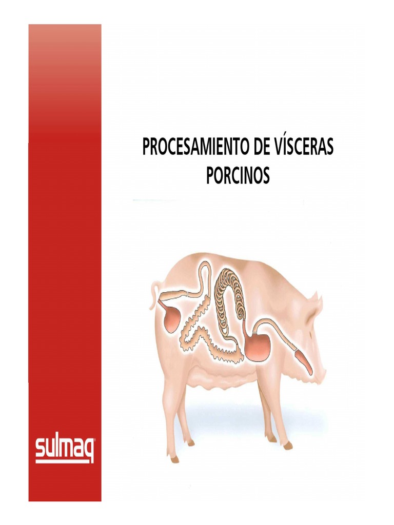 Procesamiento de Visceras de Cerdos[1]