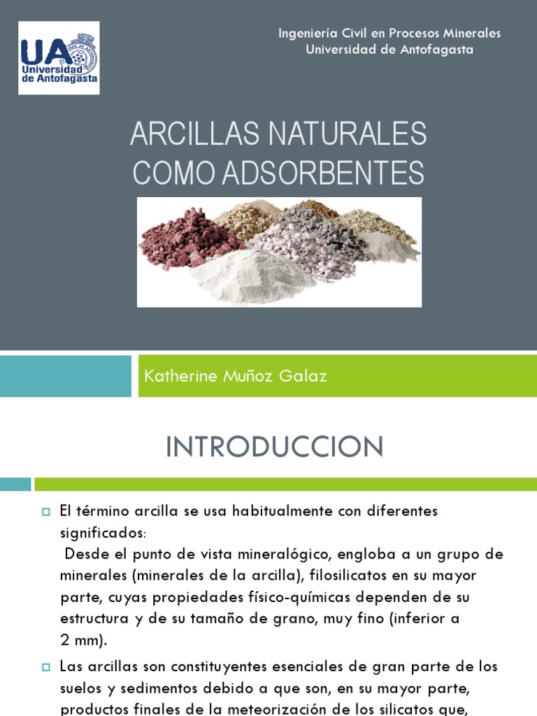 Arcillas Naturales Como Adsorbentes | PDF | Arcilla | Adsorción