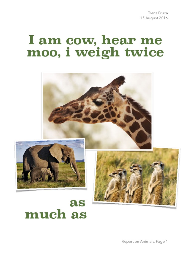I Am Cow | PDF