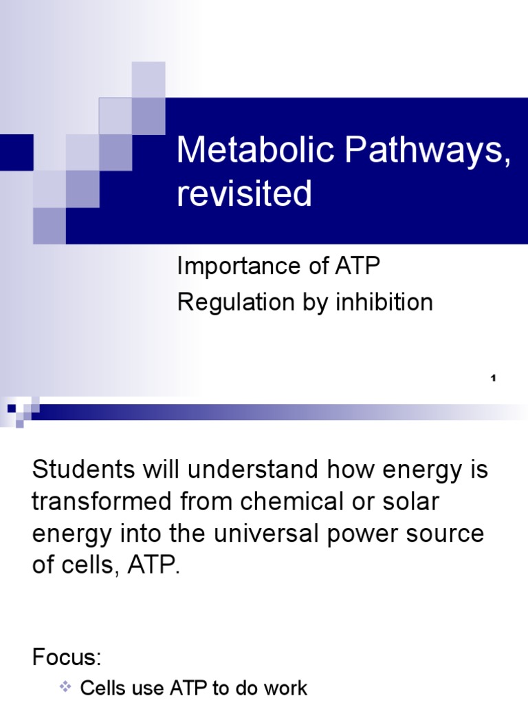 Regulation of Metabolic Pathways: How Cells Control Energy Production ...