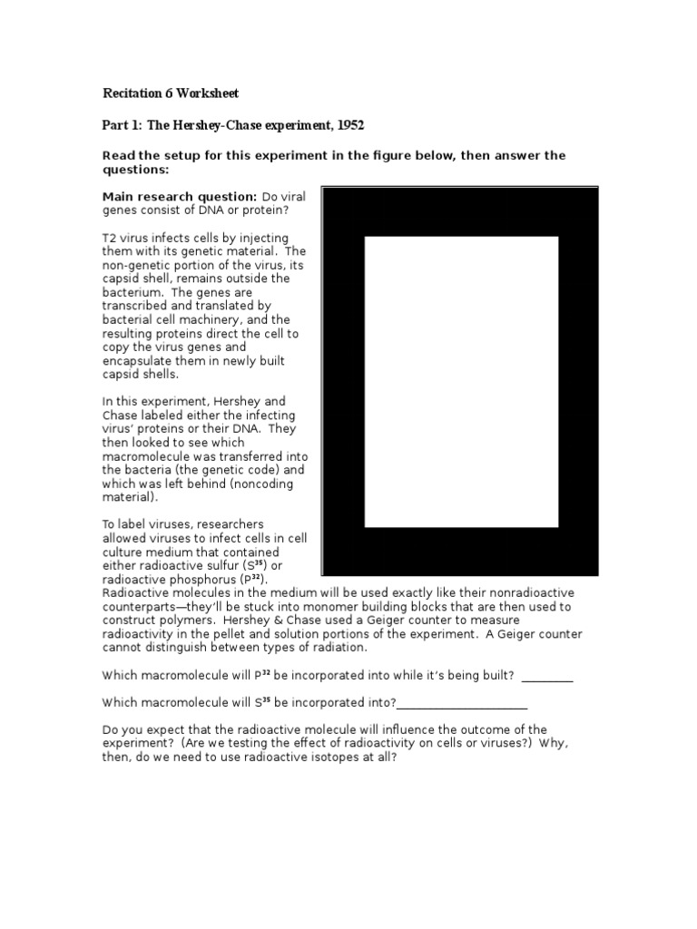 Recitation 6 Worksheet | PDF | Arginine | Virus