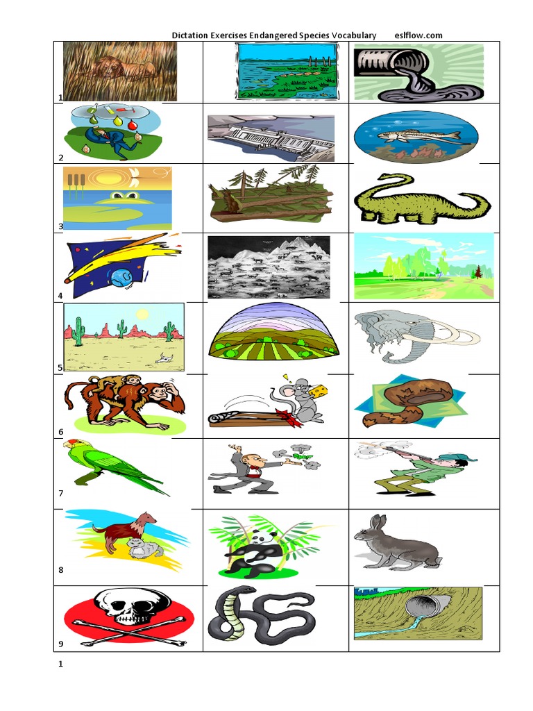 Endangered Species Vocabulary Dictation Exercises PDF | PDF | Wildlife ...