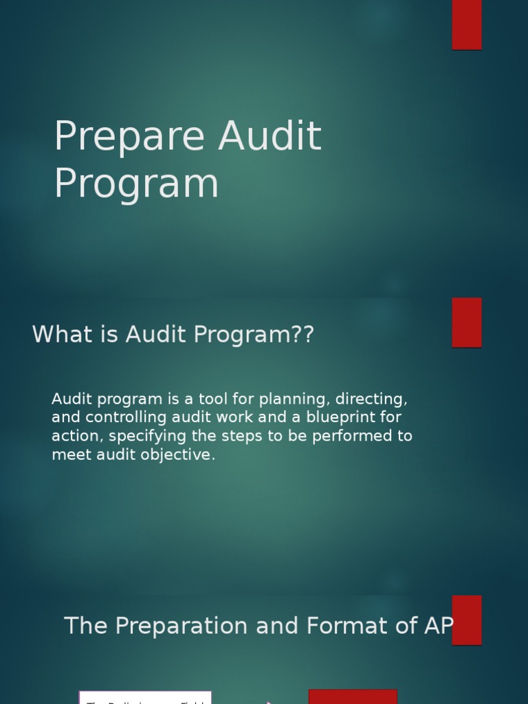 Prepare Audit Program | PDF