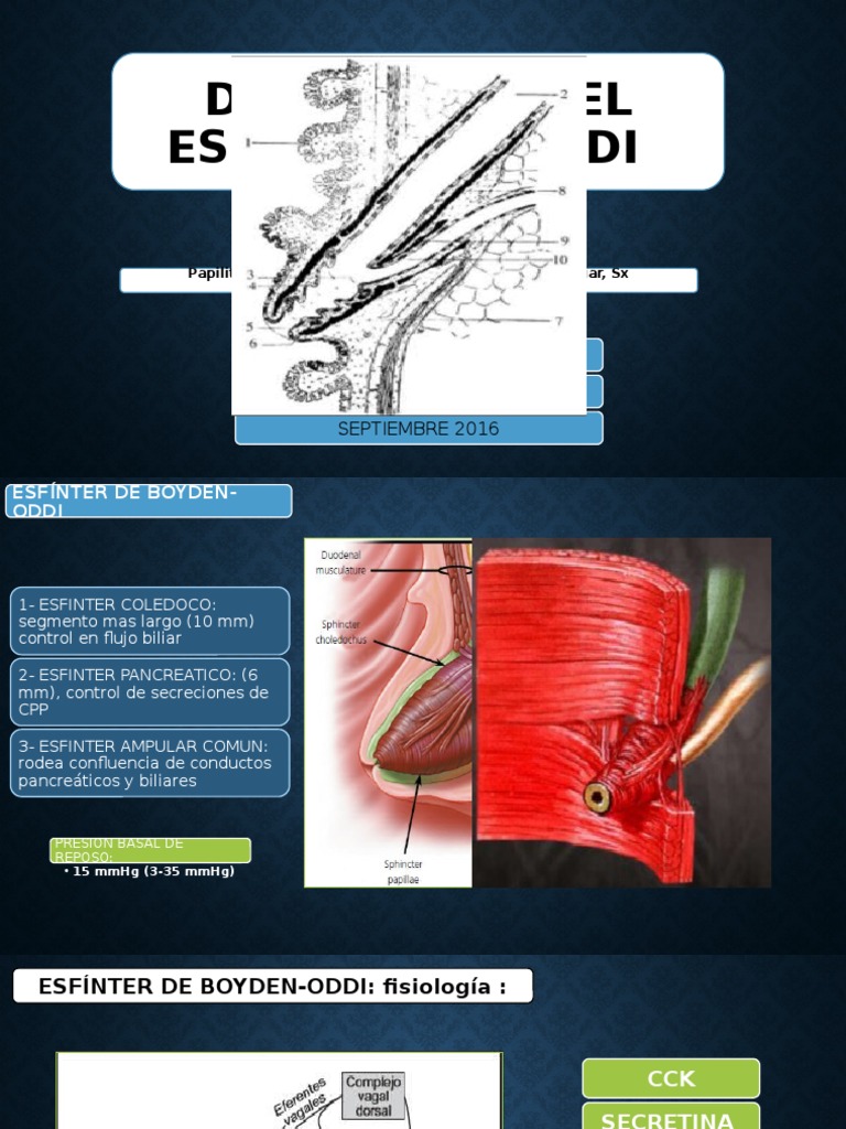 Disfuncion Del Esfinter de Oddi | PDF | Dolor | Sistema digestivo