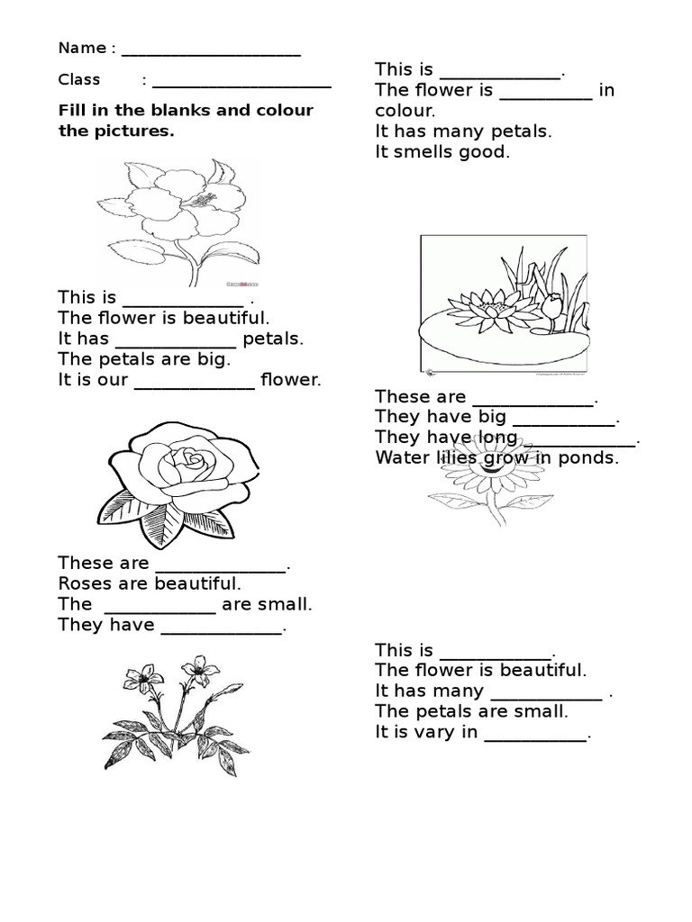 Worksheet - Flowers | PDF | Petal | Flowers