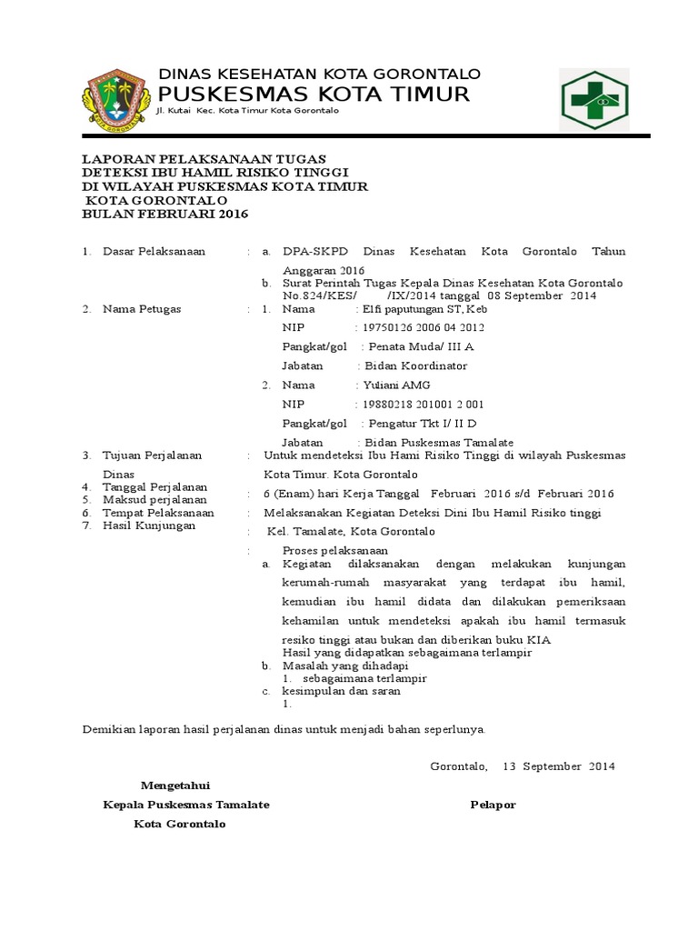 Laporan SPJ Bok Bumil Resti | PDF