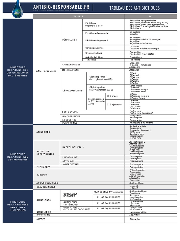 Tableau des Familles d'Antibiotiques | PDF | RTT | Médicaments