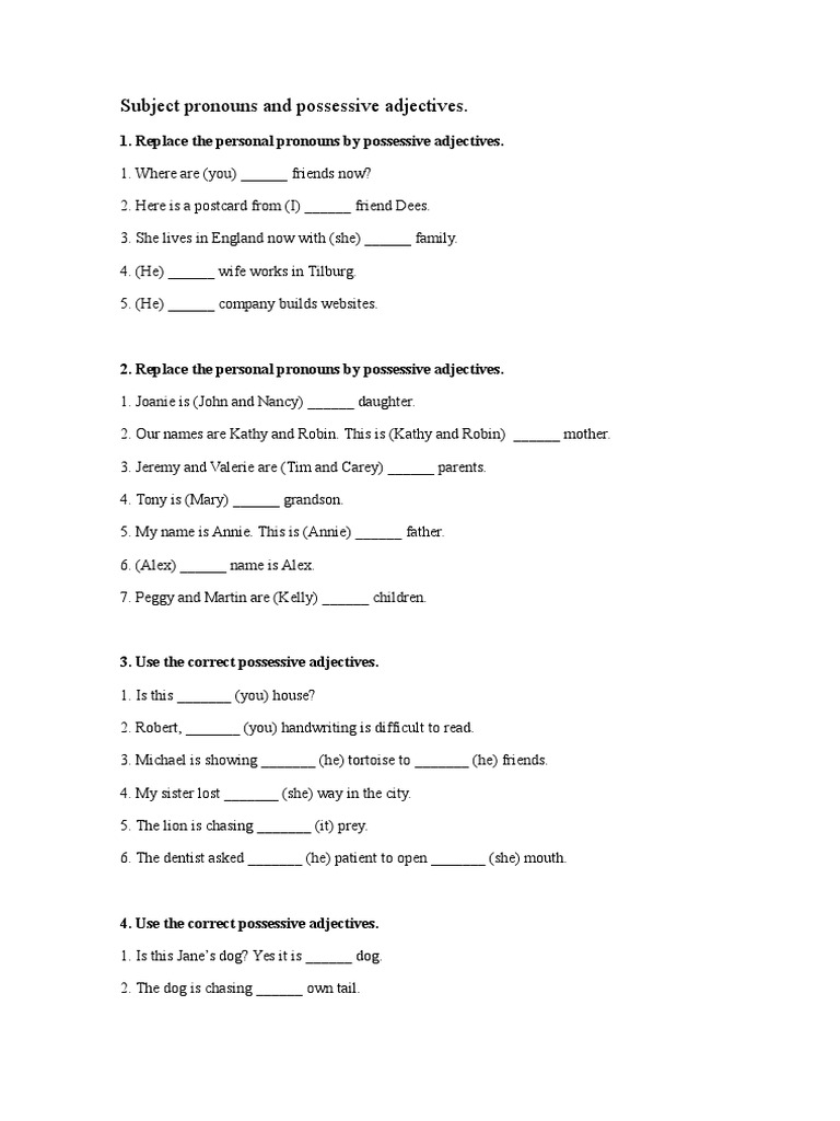 Subject Pronouns and Possessive Adjectives | PDF