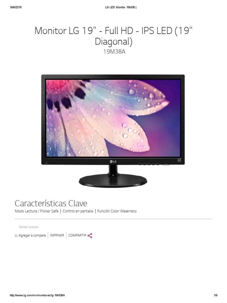 LG Led Monitor 19m38 | PDF | Monitor de computadora | Diodo emisor de luz
