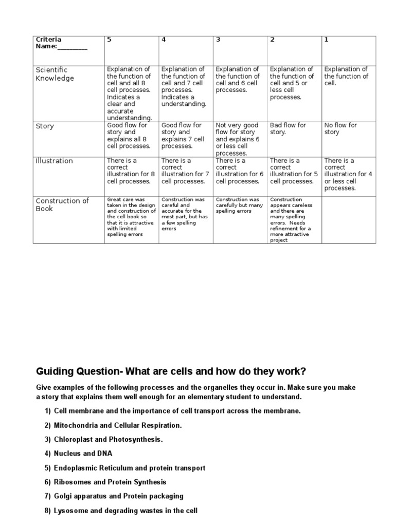 Cell Processes Explained for Kids | PDF