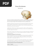 Facial Paralysis Grading Guide | PDF