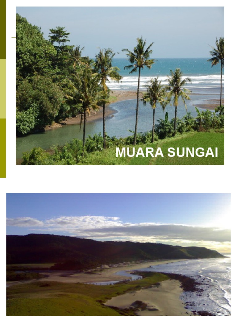 Pengertian dan Fungsi Muara Sungai | PDF
