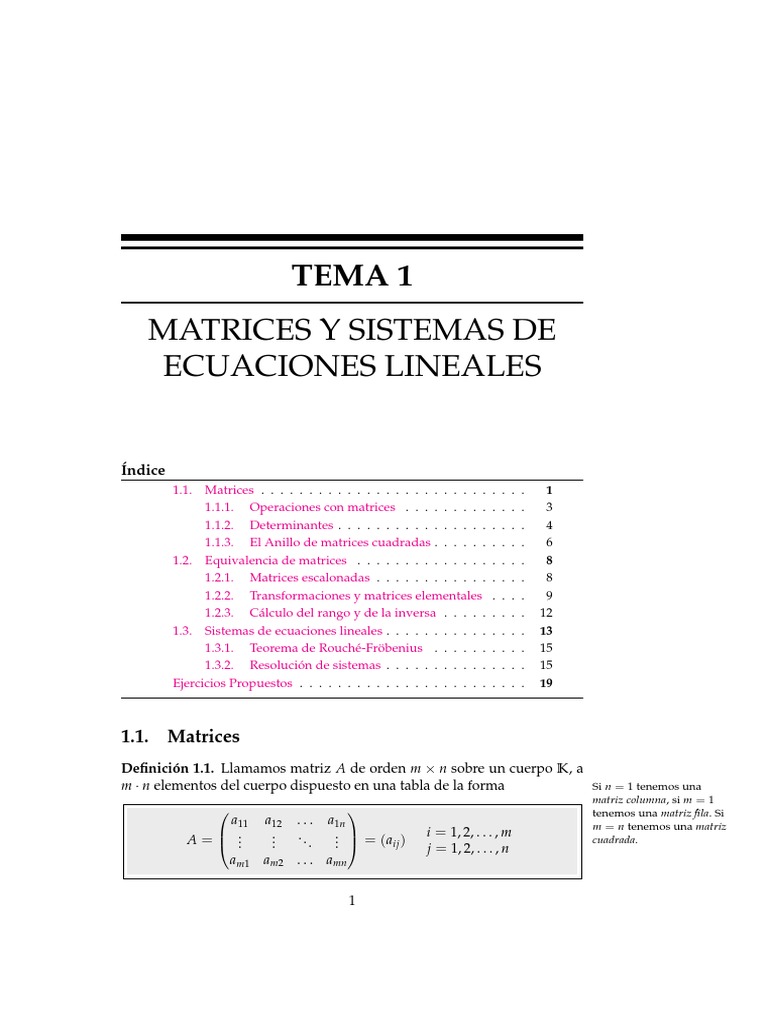 TEMA 1 - Matrices y Sistemas de Ecuaciones Lineales | PDF | Matriz (Matemáticas) | Determinante