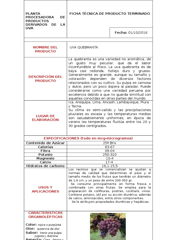 Características de la Uva Quebranta | PDF