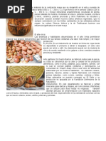 Gastronomía Ladina | PDF | Cocina, comidas y vino | Tecnología