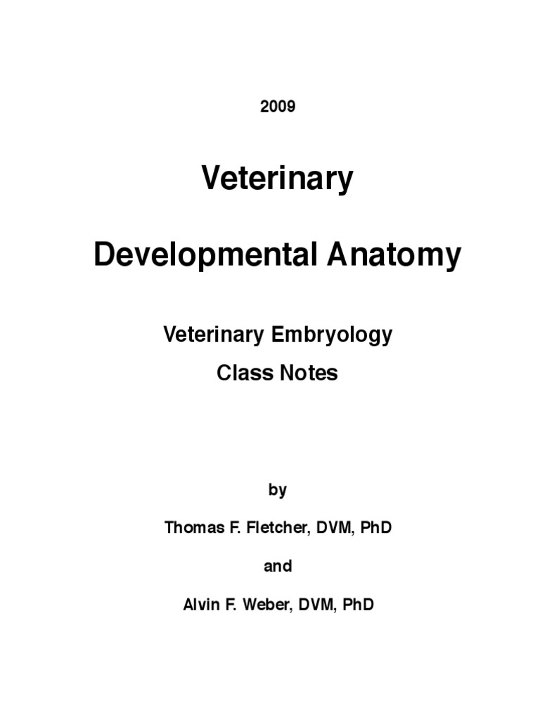 Veterinary Embryology (Class Notes) PDF | PDF | Vertebral Column ...