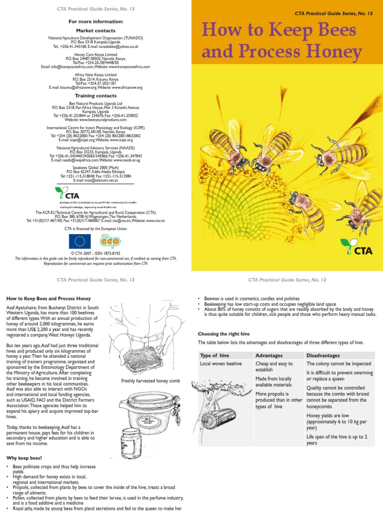 Bee PDF | PDF