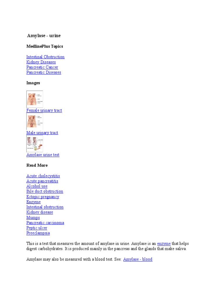 Understanding Amylase Levels in Urine: A Guide to the Amylase Urine ...