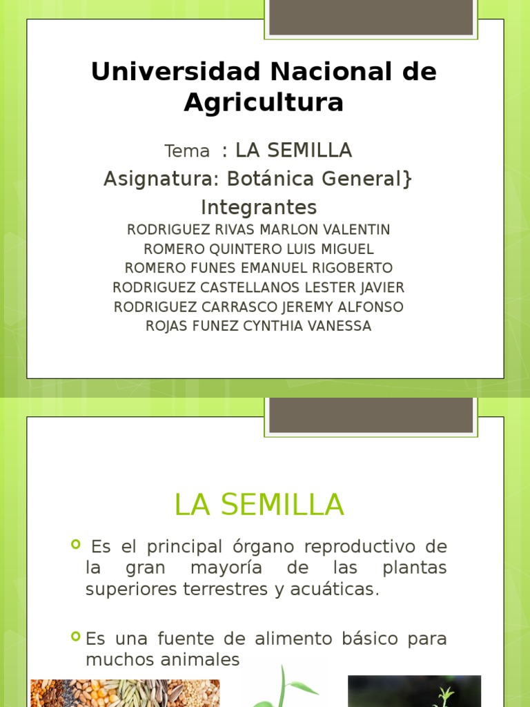 Semilla Botanica G. | PDF | Semilla | Germinación
