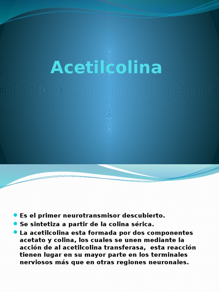 Acetilcolina | PDF | Acetilcolina | Sinapsis
