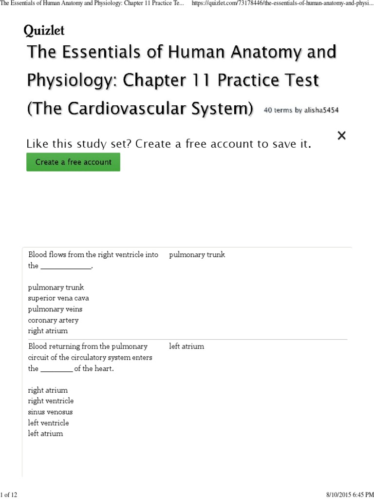 Anatomy and Physiology Chapter 11 Practice Test | PDF | Heart Valve ...