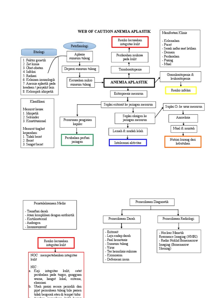 Pathway Anemia | PDF | Pengembangan Diri | Kesehatan Holistik