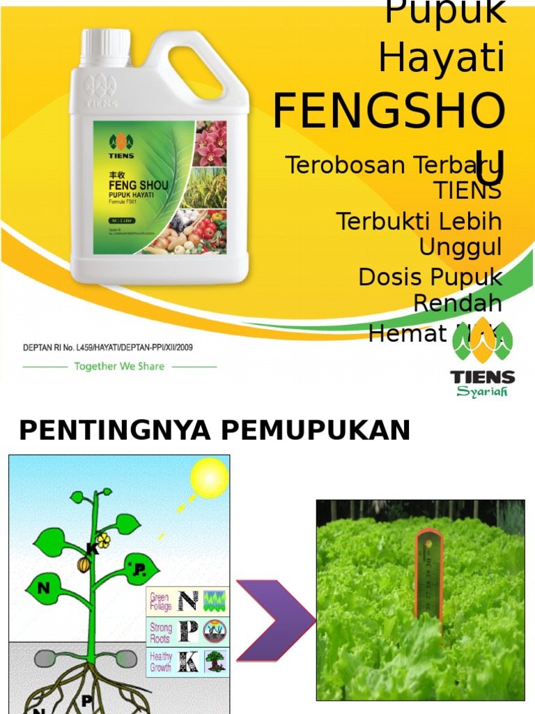 Feng Shou | PDF