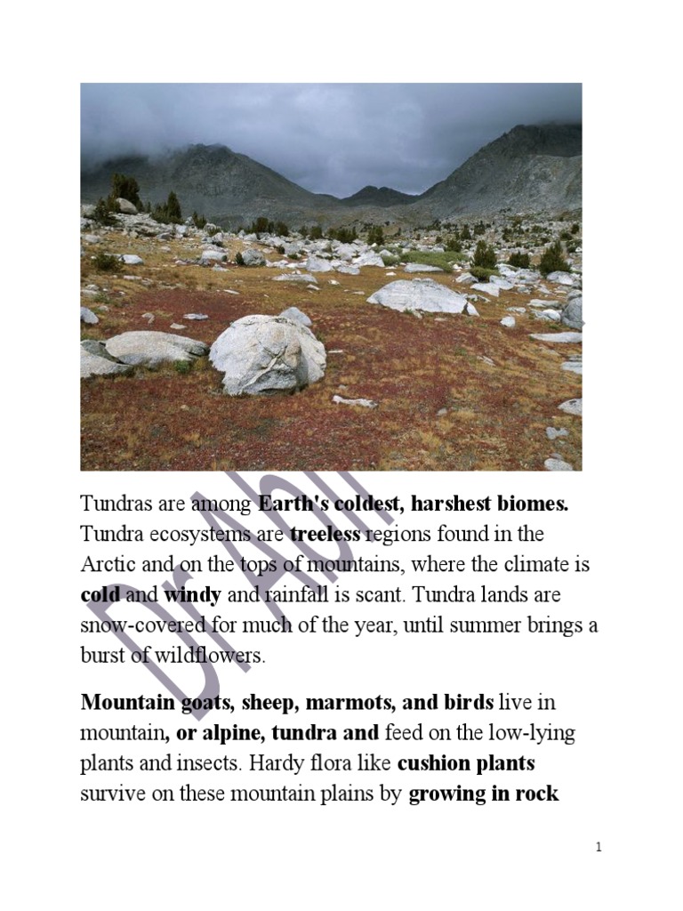 A2 Lecture 2 - Ecosystems | PDF | Physical Geography | Habitat