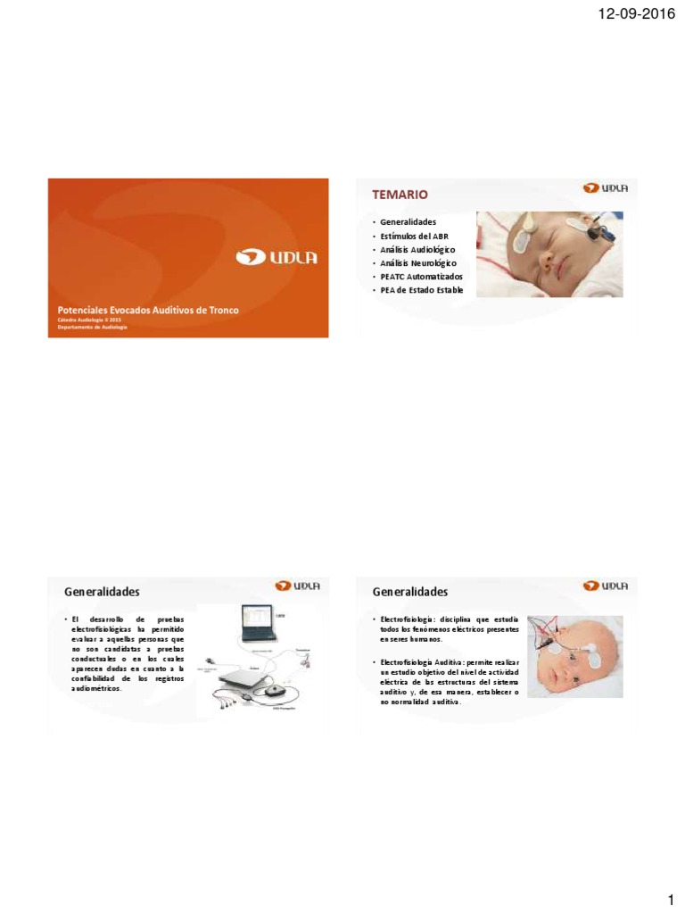 Clase N 4 - PEATC | PDF | Neurona | Corteza cerebral