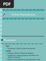 Essential Livestock Terminology Guide | PDF | Cattle | Pig