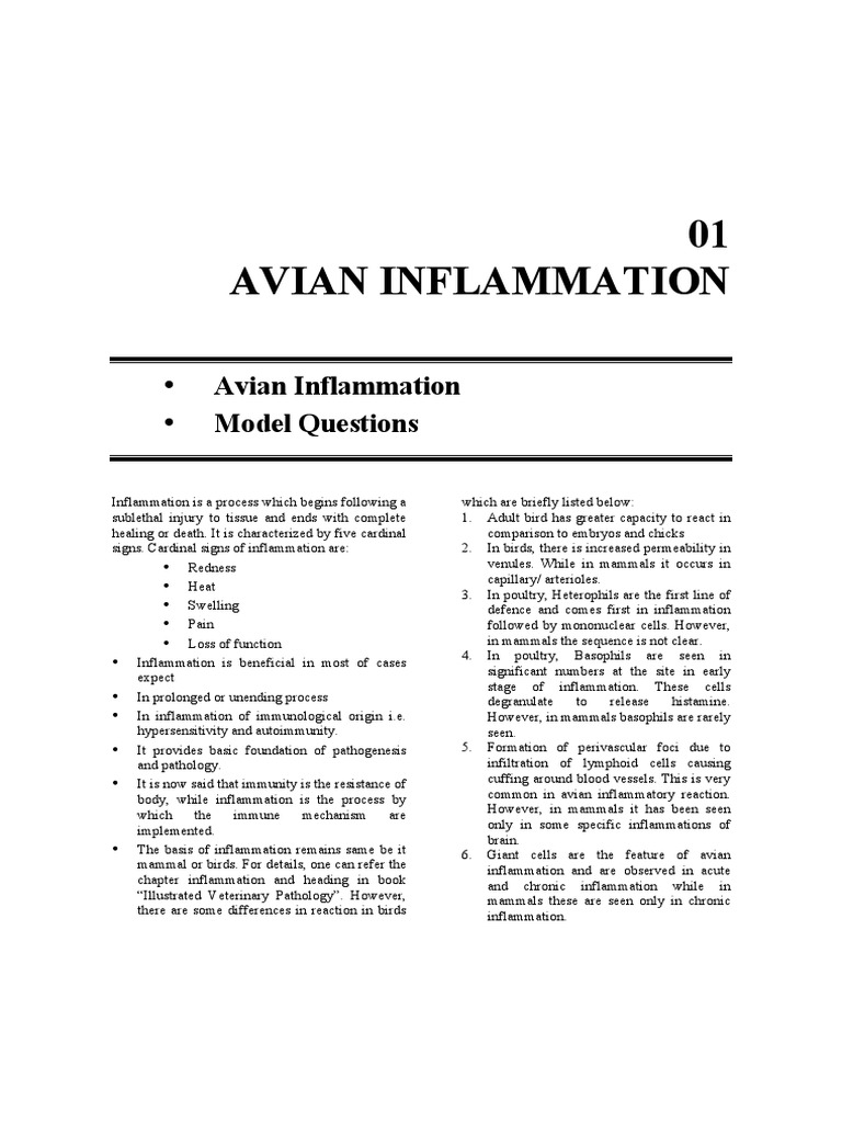 Five Cardinal Signs of Avian Inflammation | PDF | Inflammation | Birds
