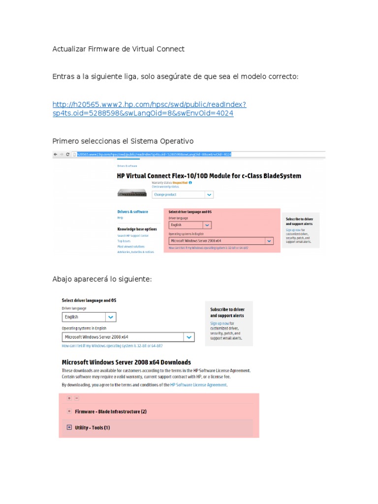 Actualizar Firmware de Virtual Connect | PDF