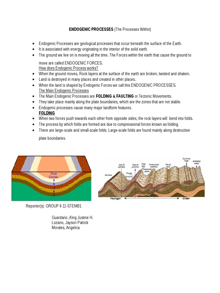 Endogenic Processes(Report) | Plate Tectonics | Geology