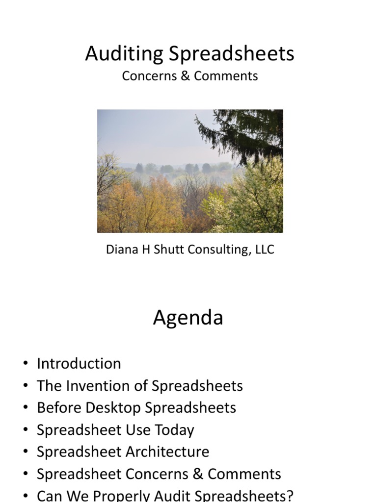 AuditingSpreadsheets Dhs | PDF | Spreadsheet | Worksheet