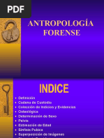 Caso Rugoscopía | PDF | Dentadura postiza