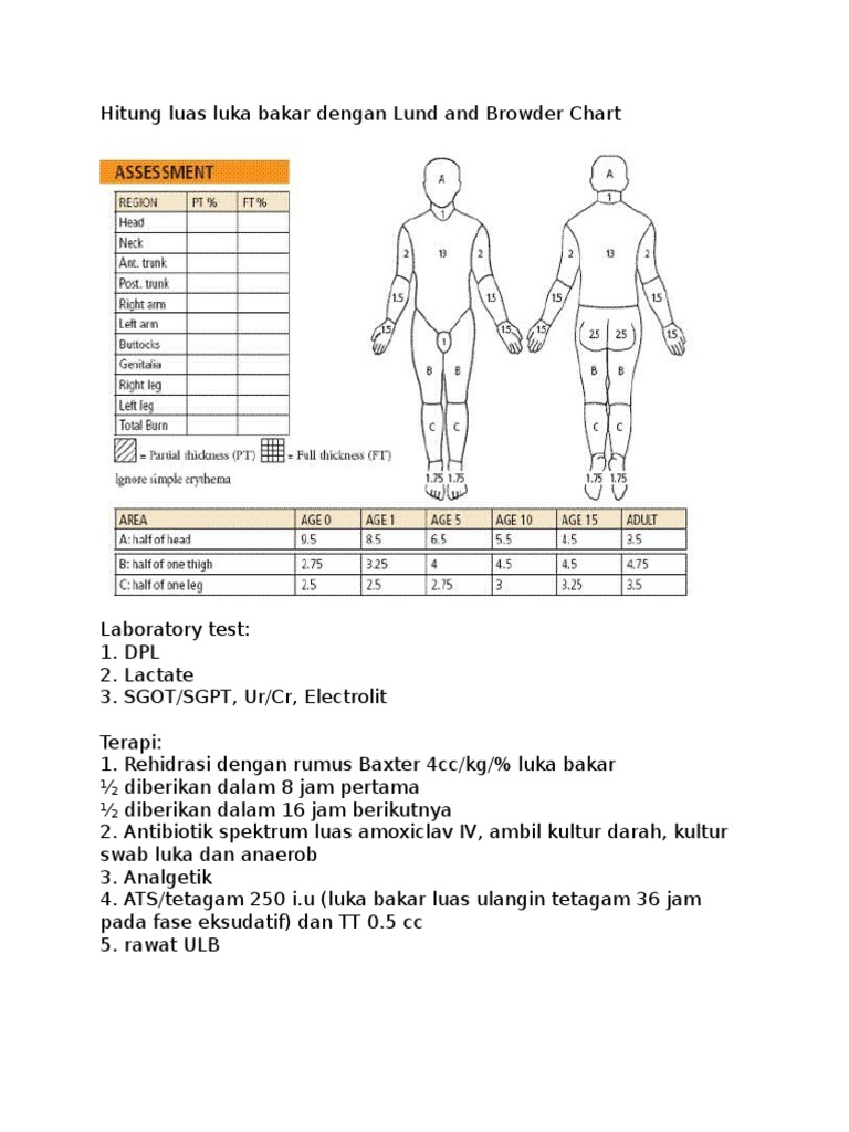 Hitung Luas Luka Bakar Dengan Lund and Browder Chart | PDF