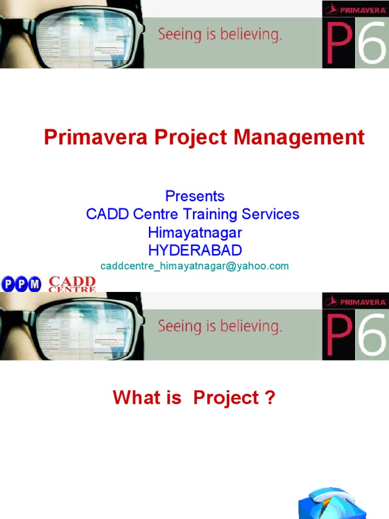 Primavera Project Management Overview | PDF | Project Management ...