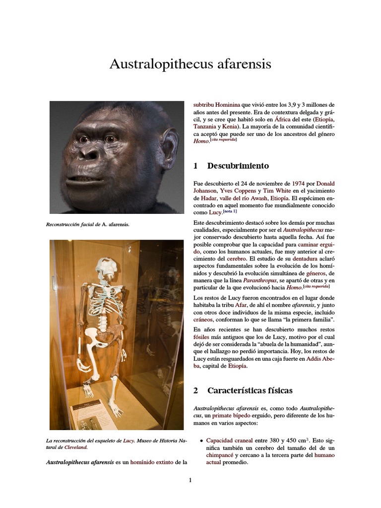 Australopithecus Afarensis | Antropologia Biologica | Mamíferos