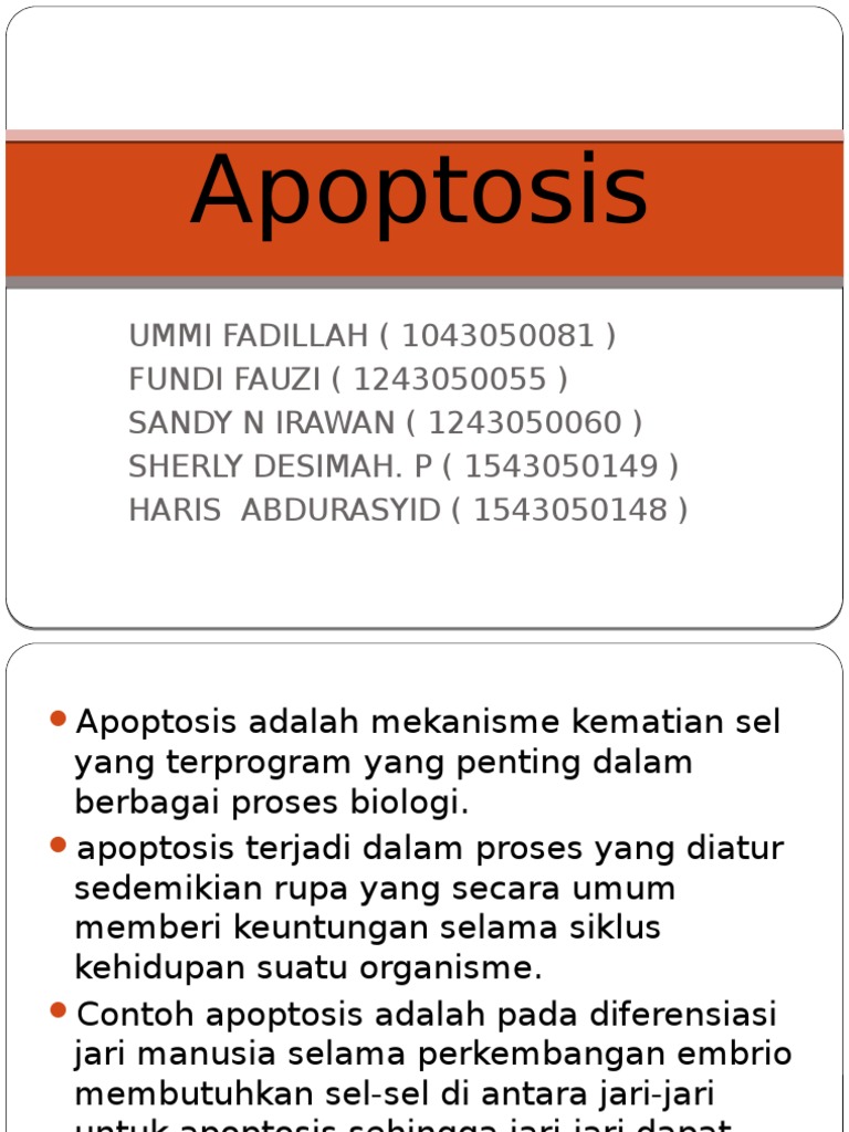 Mekanisme dan Fungsi Apoptosis | PDF
