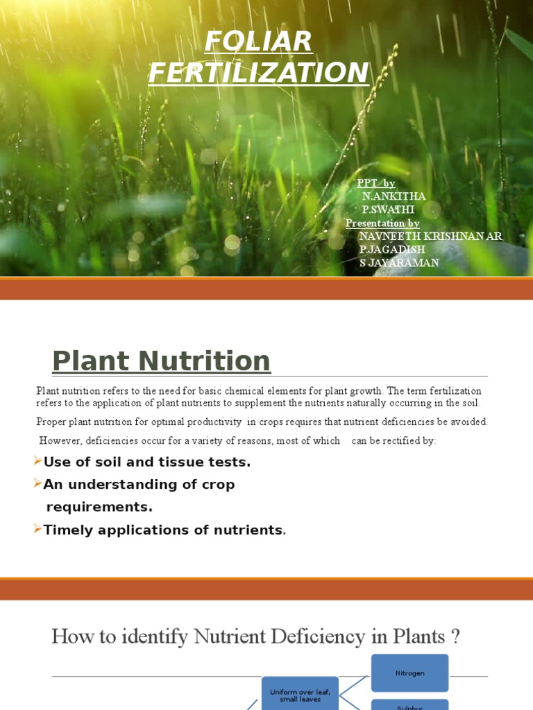 Foliar Fertilization | Plant Nutrition | Fertilizer