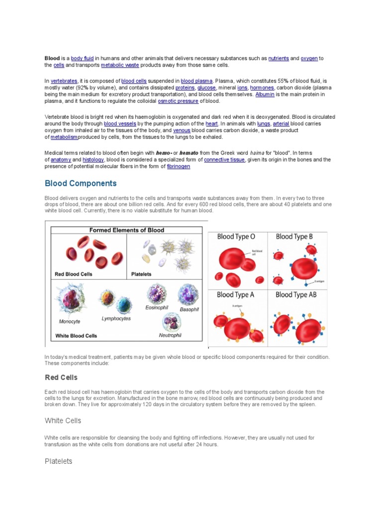 Blood Components | PDF | Blood Cell | Blood