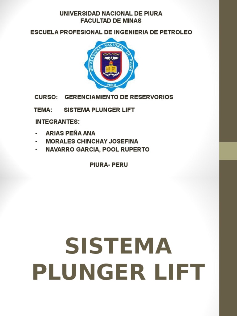 Sistema Plunger Lift: Funcionamiento y Aplicaciones | PDF | Gases | Presión