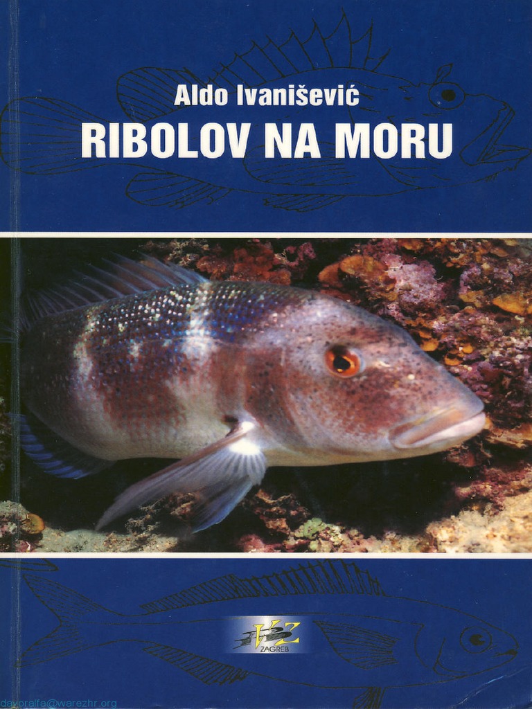 Aldo Ivanišević - Ribolov Na Moru PDF | PDF