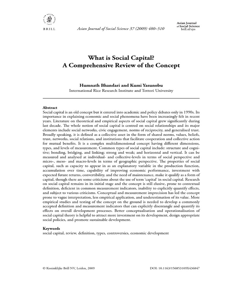 What Is Social Capital | PDF | Social Capital | Development Economics