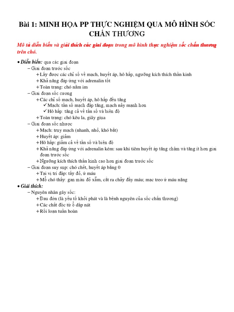 Đáp Án TT SLB | PDF