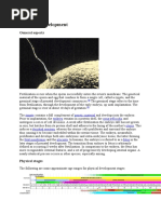 Penis Owner's Instruction Manual | PDF | Ejaculation | Semen