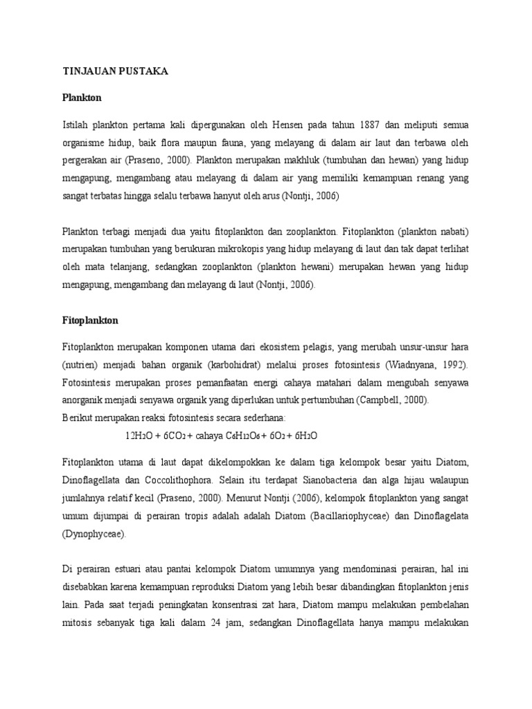 Tinjauan Pustaka | PDF