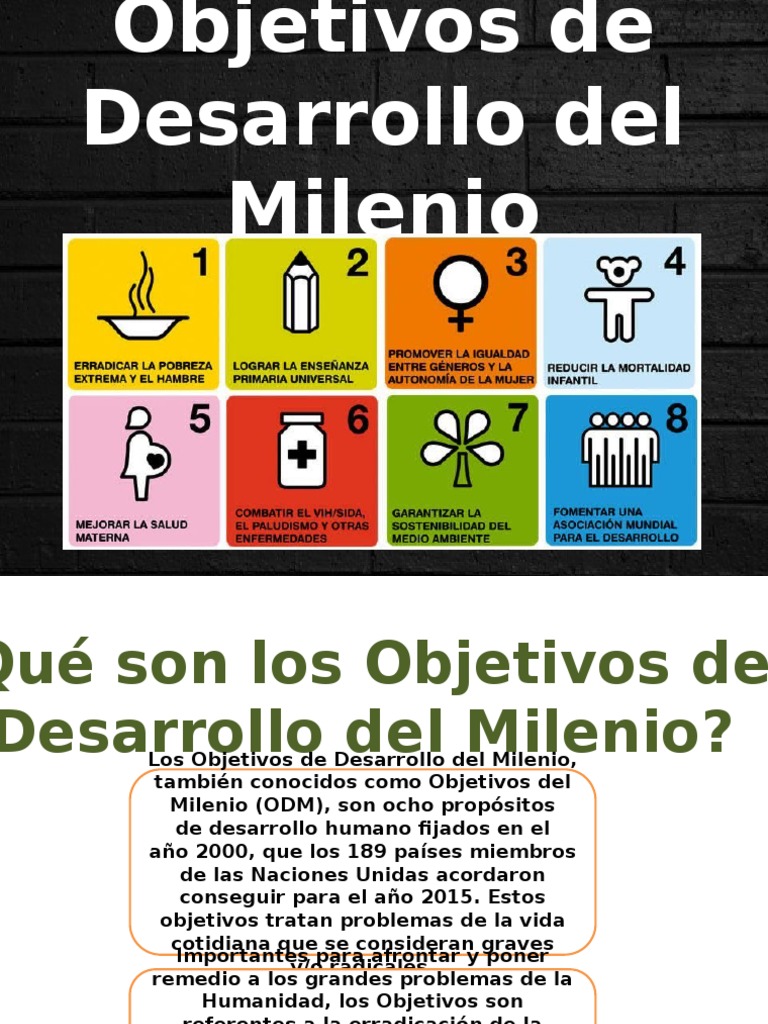 Objetivos de Desarrollo Del Milenio | Objetivos de Desarrollo del ...