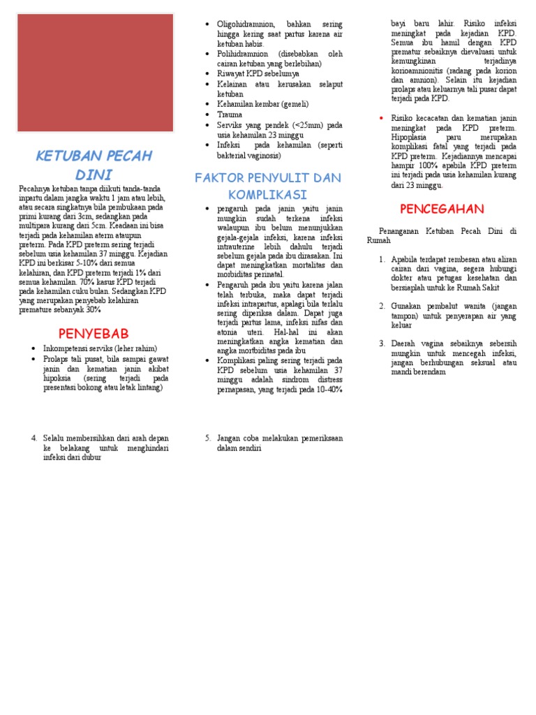 Leaflet KPD | PDF